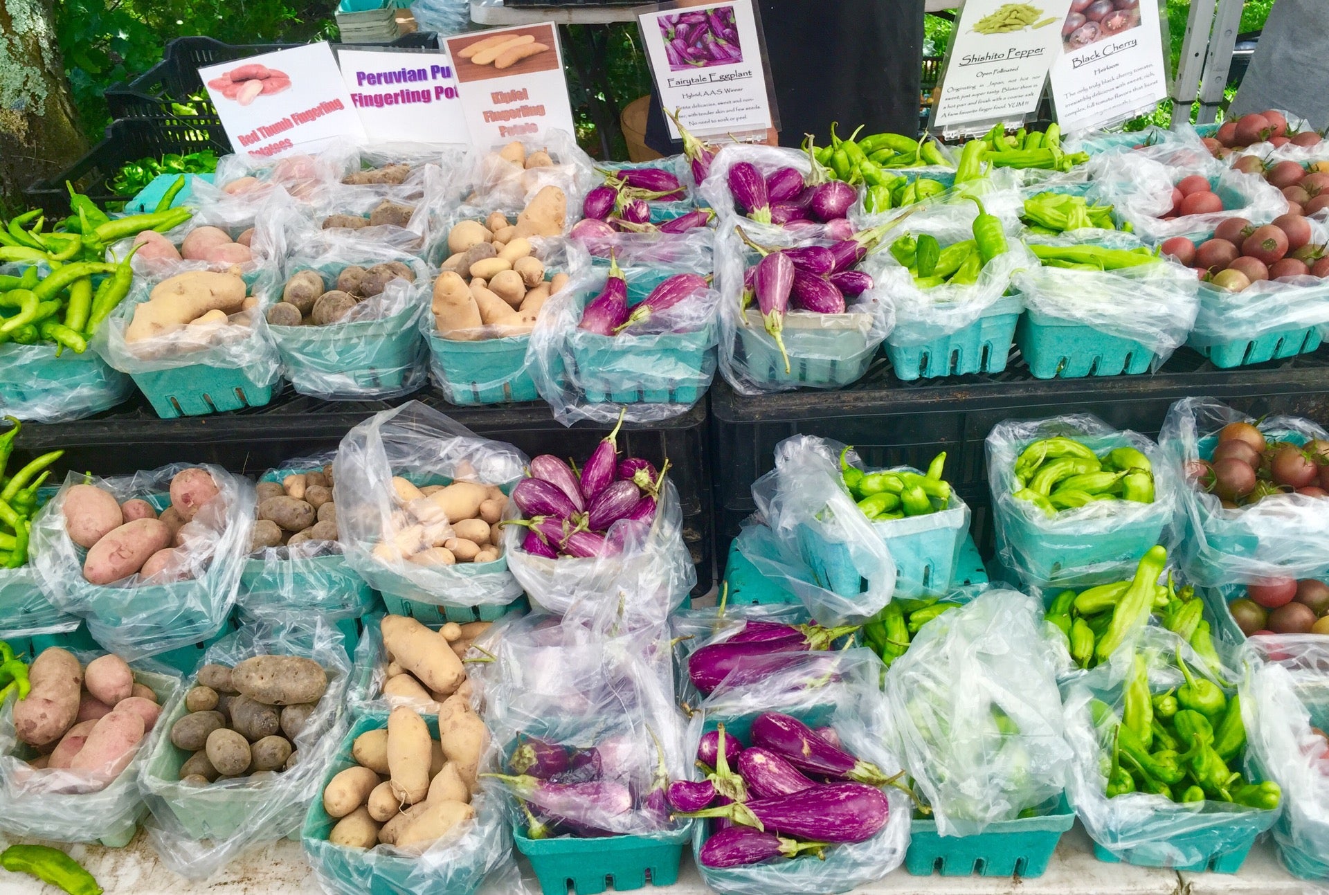 Exploring the Hamptons' Local Farmers Markets: A Guide to Seasonal Produce