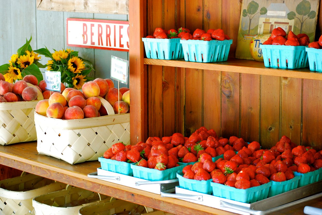 Exploring the Hamptons' Local Farmers Markets: A Guide to Seasonal Produce