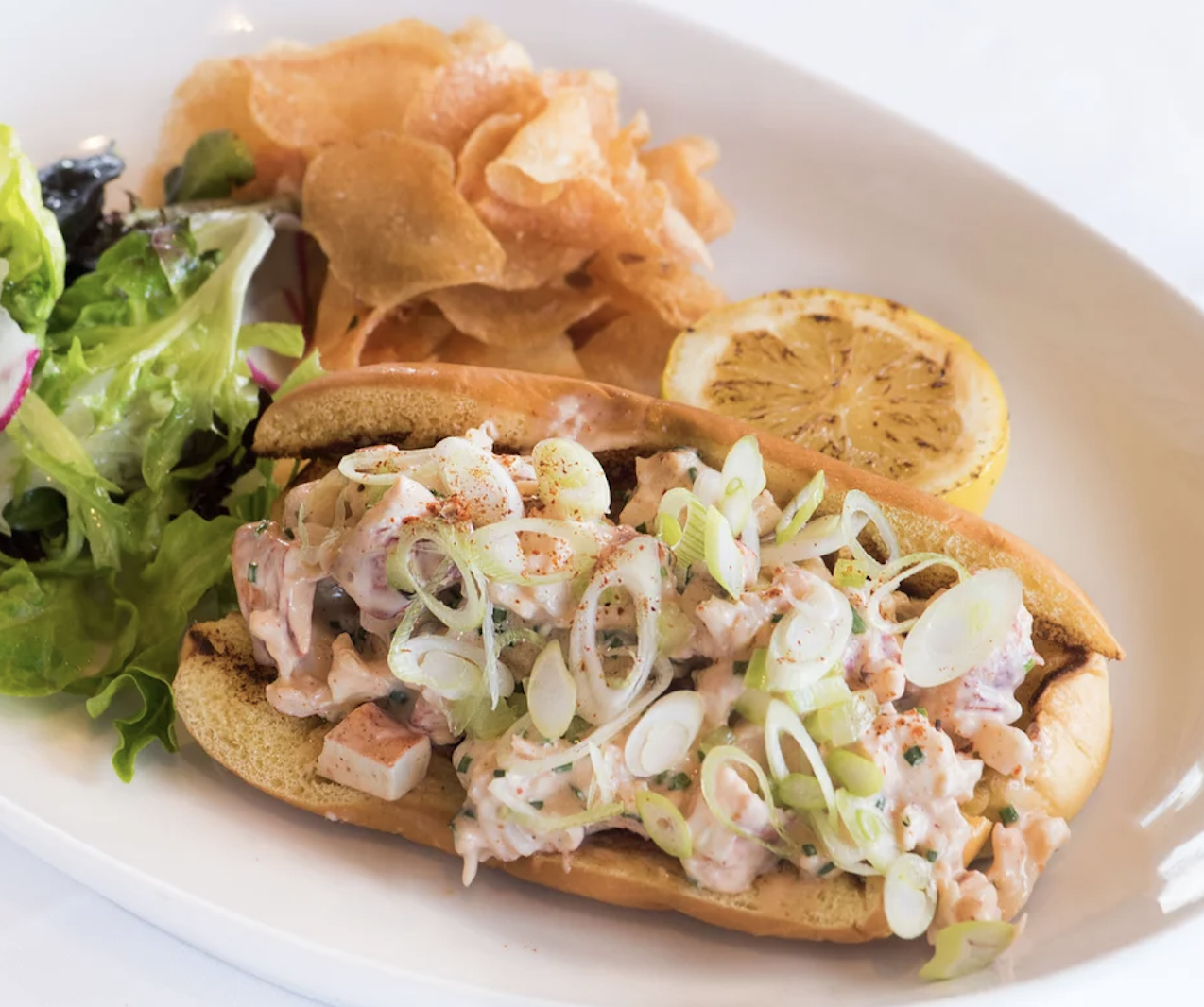 Hamptons Lobster Roll Price Breakdown: The Cost of the Most Popular ...